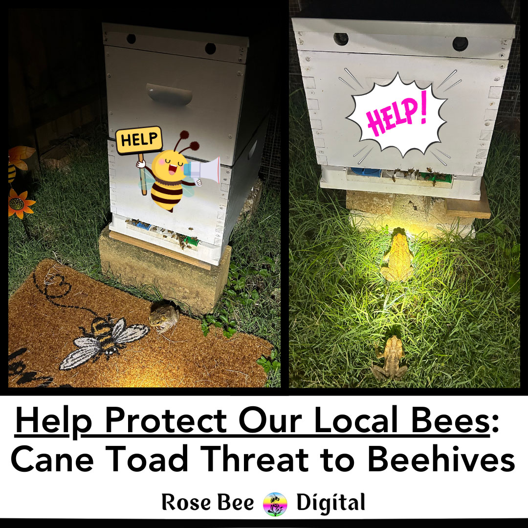 🚨 Join the Great Cane Toad Bust! - Rose Bee Digital